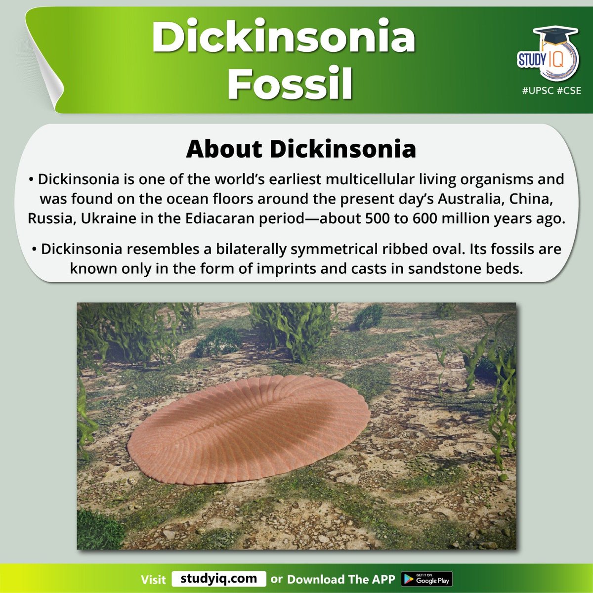 UPSC IQ on Twitter: "Dickinsonia Fossil #dickinsoniafossil #whyinnews # ...