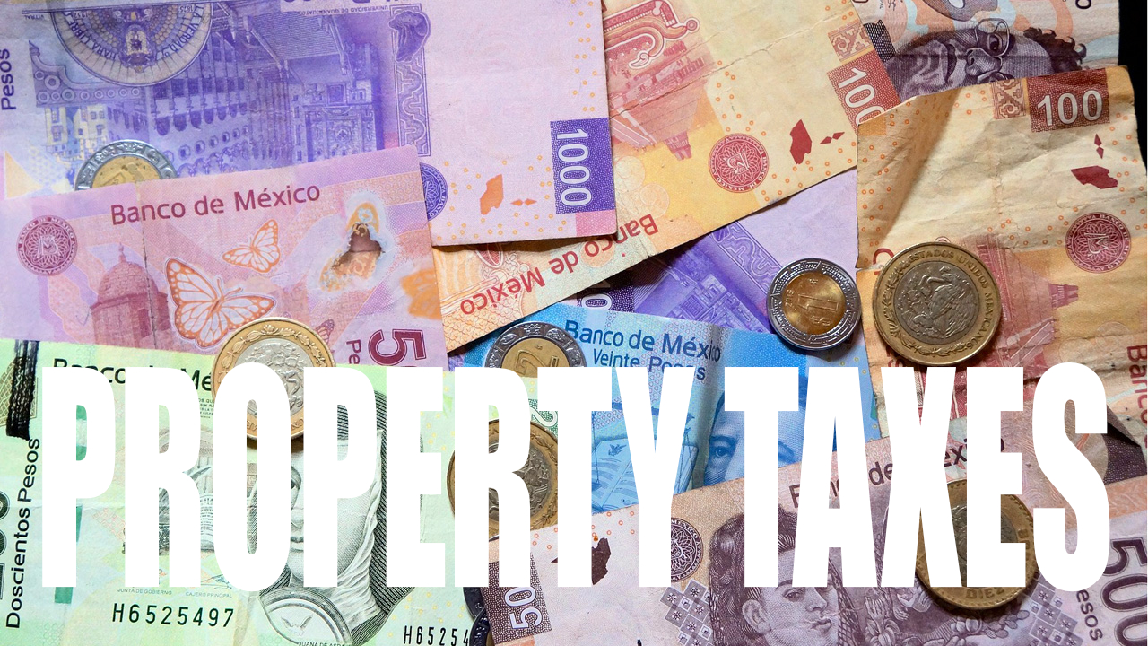 Paul Thurrott on Twitter: "We have a new video on Eternal Spring: Property taxes We received our ...