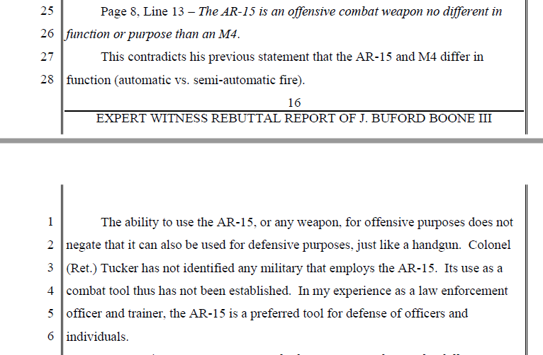 One of the "expert" reports the state filed in Rupp last month is just ...