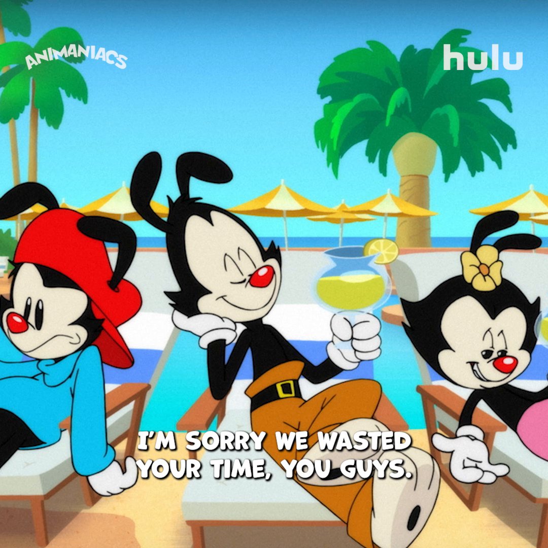Animaniacs Wakko Without His Hat