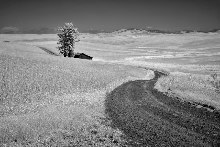 Art for the Eyes!https://t.co/KaE2l08KwI #scenic #palouse #washington # ...