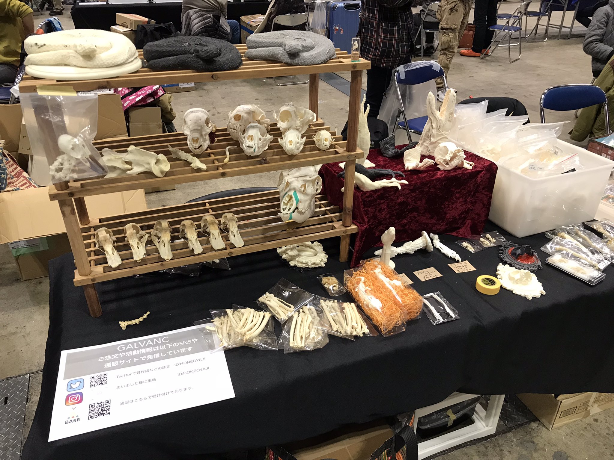 本田みずほ / Em Zed Eych (@MizuHonda) / Twitter