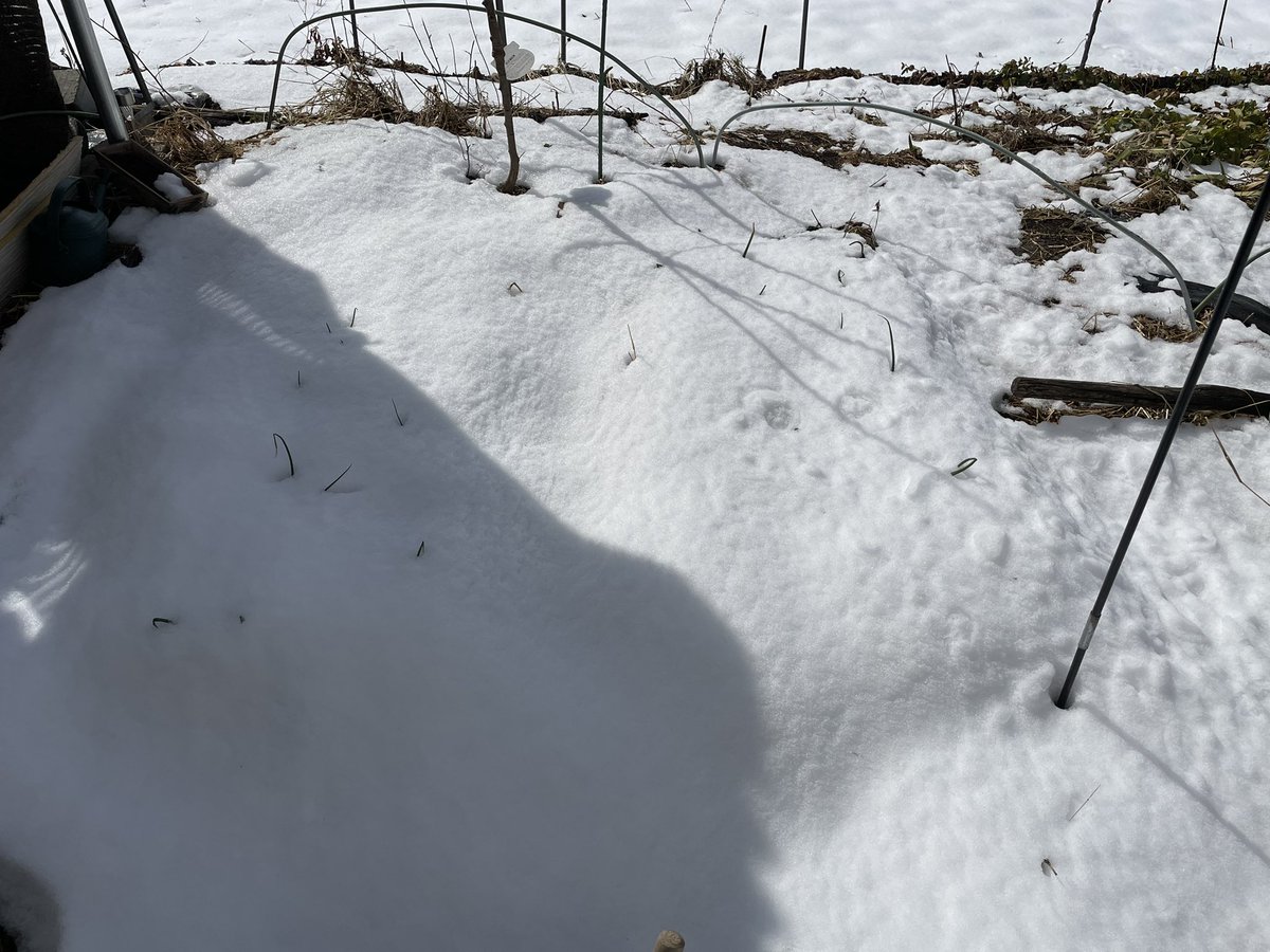 kehi(@kehi) - Twilog (ツイログ)