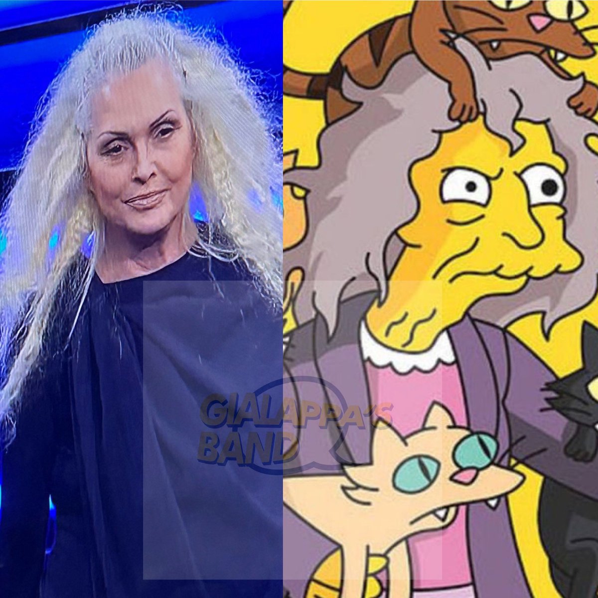 Simpsons Crazy Cat Lady Costume