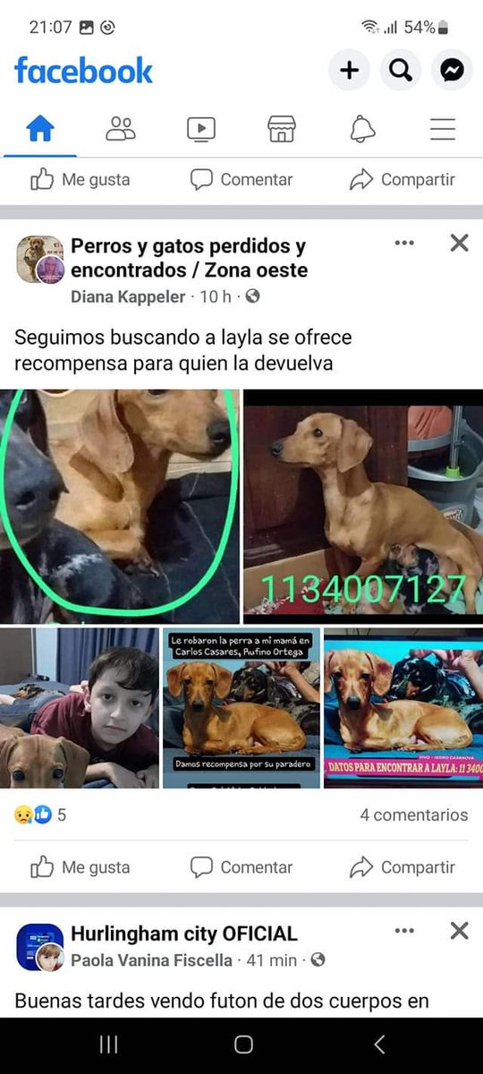Libre on Twitter: Libre on Twitter: