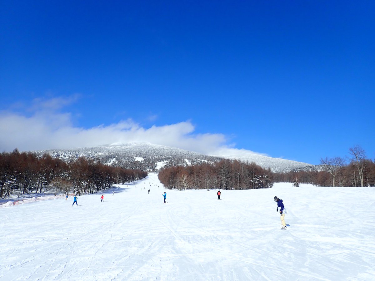 しゅんや(@shynya) - Twilog