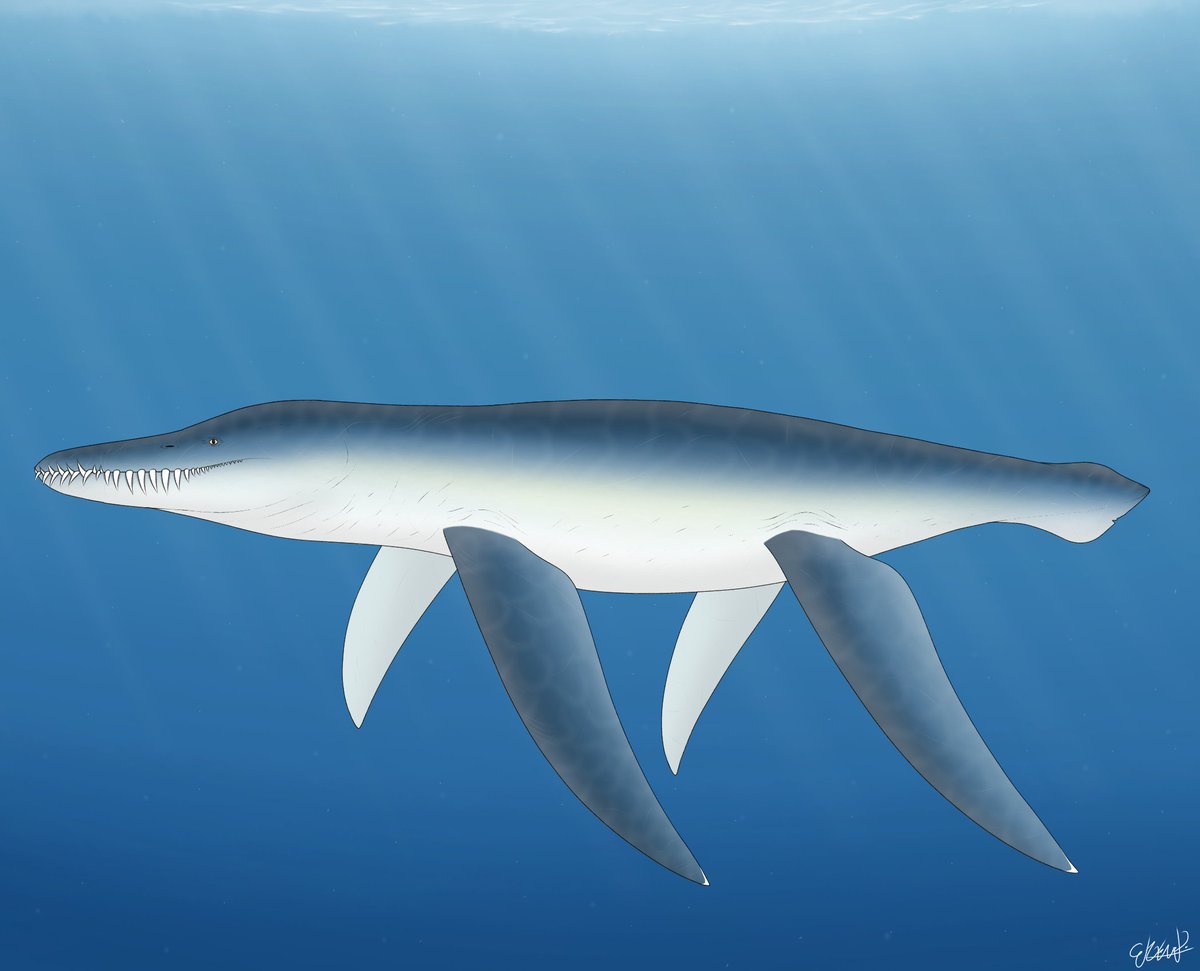 𓆝 Erza Aulia Rachman 🎨🔮🐿️🦚🧟‍♀️🍂🔨📜☔ (@rachman_erza) さんのイラスト・マンガ作品まとめ ...