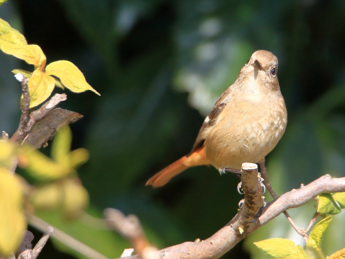 Jun & Ridge(@SystemJun) - Twilog