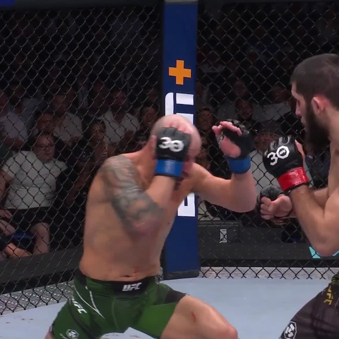 UFC Español on Twitter: UFC Español on Twitter: