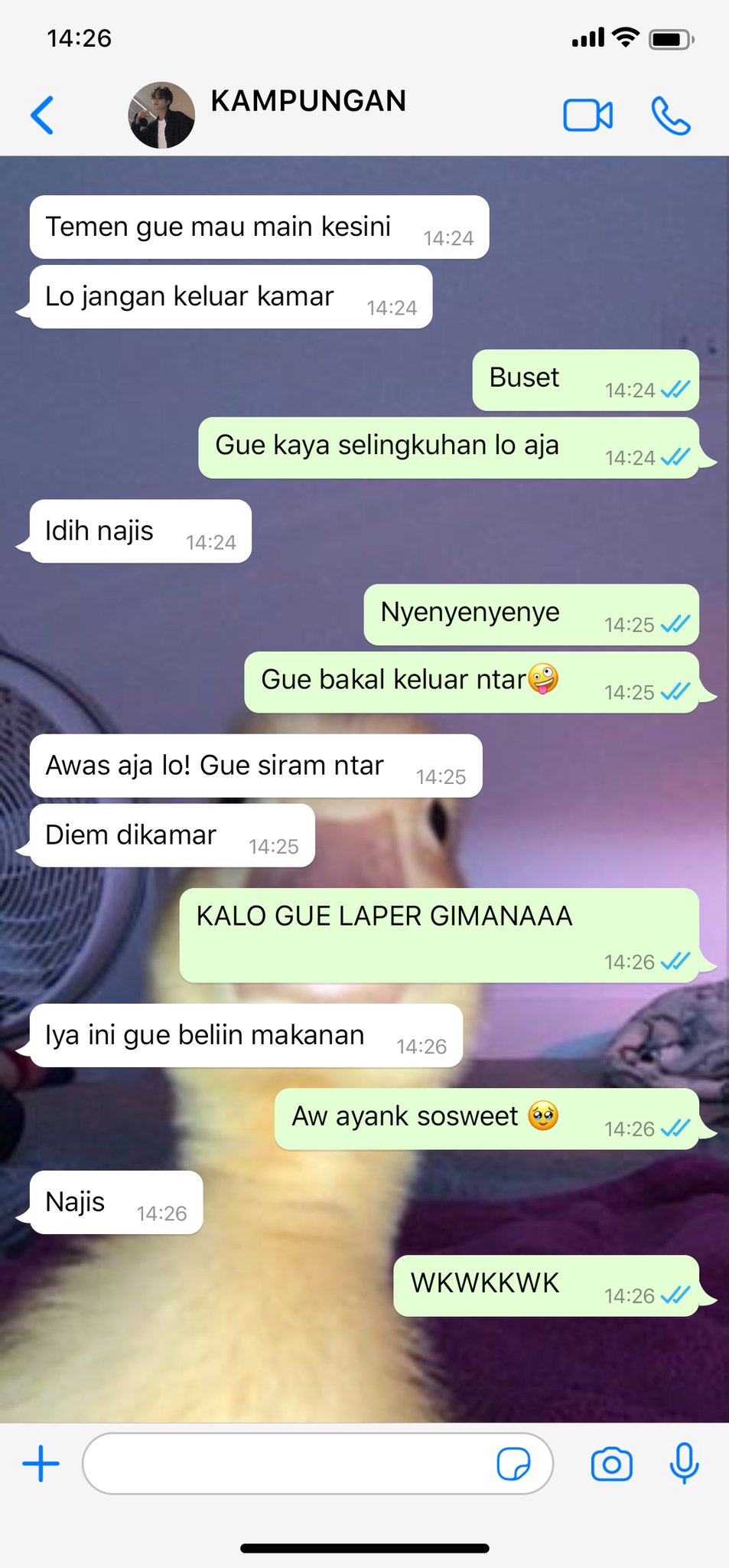 Bubbyyyy | on Twitter: "085. https://t.co/x9fd6wvHjr" / Twitter