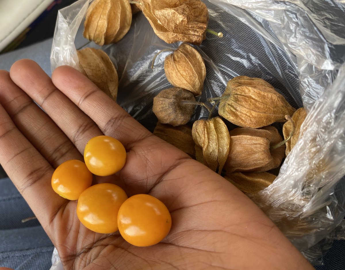 Maama Kampala On Twitter RT Rachealkyy What Do U Call These In maama-kampala-on-twitter-rt-rachealkyy-what-do-u-call-these-in