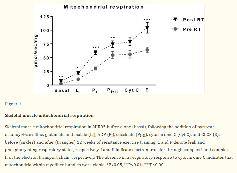 Resistance training augments muscle mitochondrial function in young ...