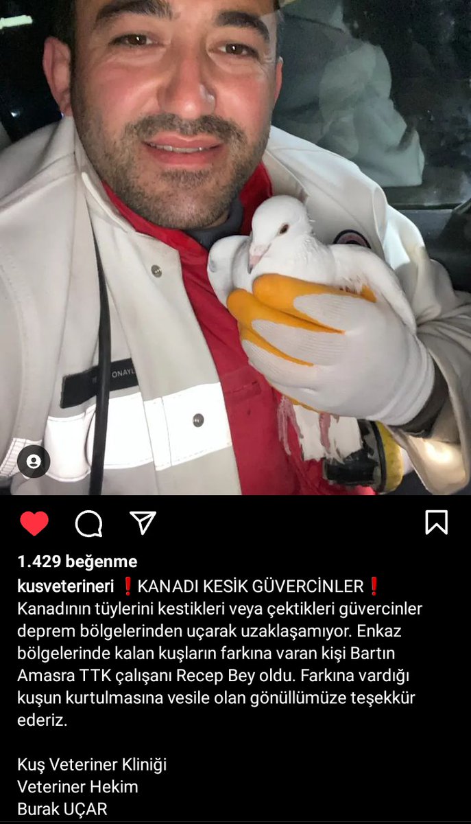 Hülya Erge on Twitter: Hülya Erge on Twitter: