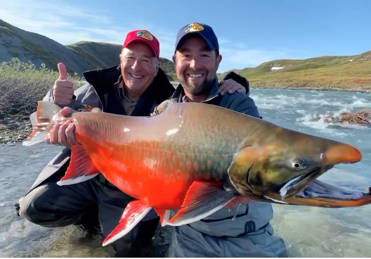 Bass Pro Shops on Twitter: "Our new Super Bowl commercial features super big fish! Tune in ...