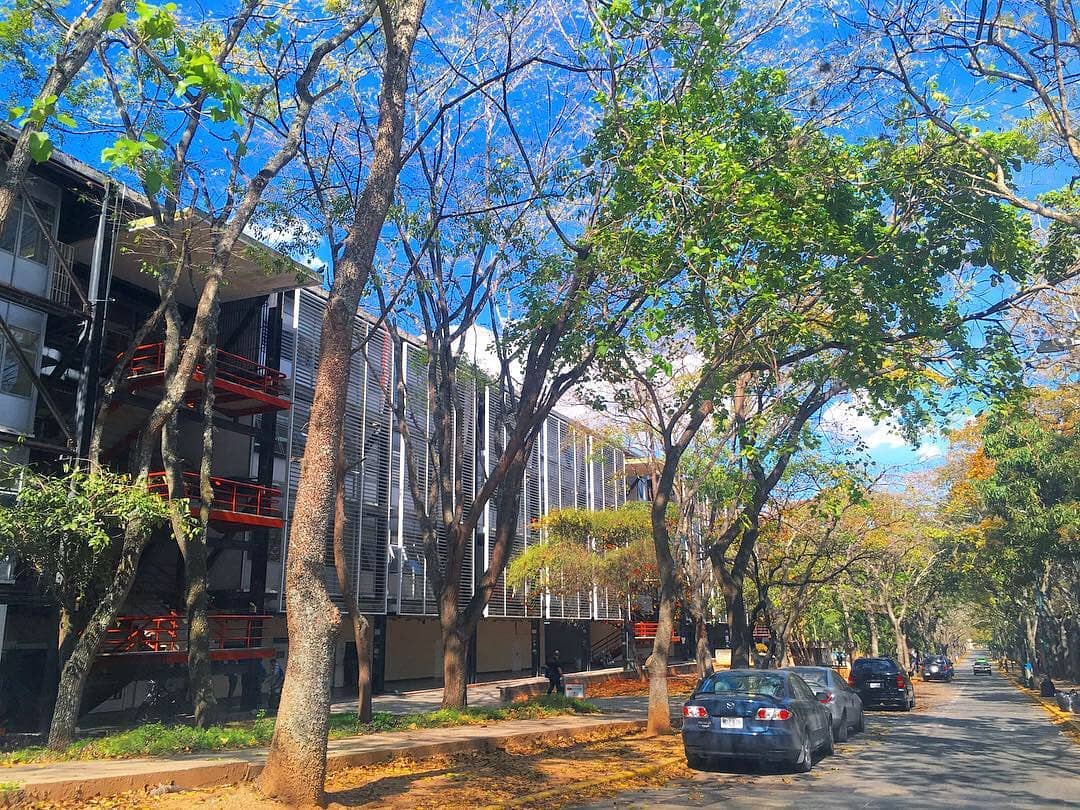 ArquitecturaVZL on Twitter: "En el año 1978 se inauguró el edificio del Instituto de Desarrollo ...