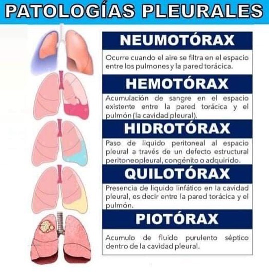 Facultad de Ciencias de la Salud (UASD) on Twitter: Facultad de Ciencias de la Salud (UASD) on Twitter: