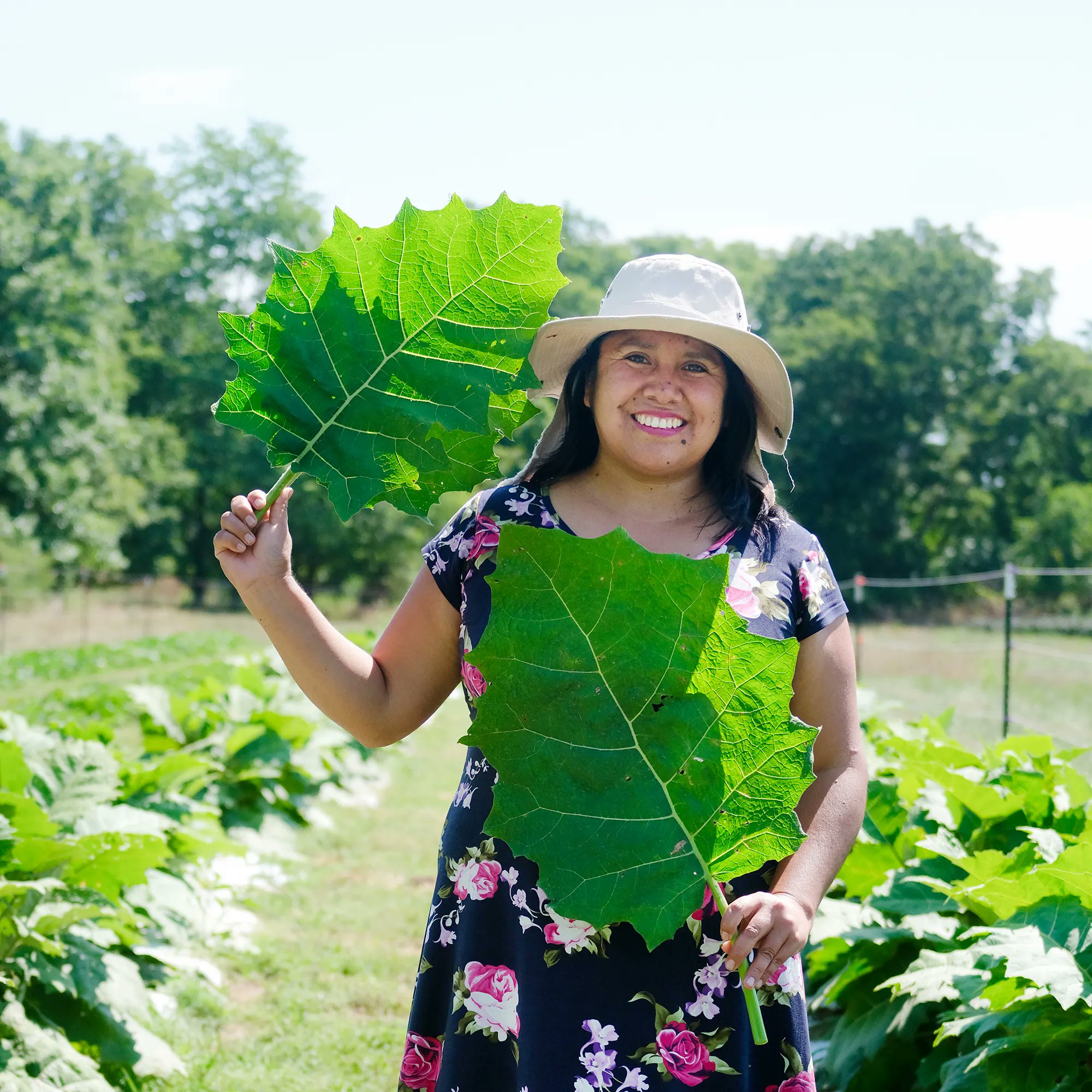 Baker Creek Seeds on Twitter: "Here's what MESA steward Sandra Figueroa Huayllapuma has to say ...