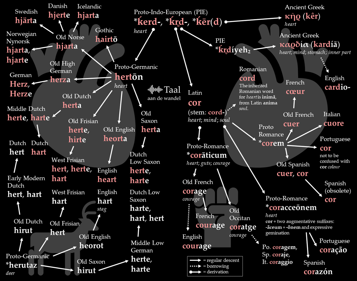 Theo Hakkert On Twitter RT yvanspijk Heart Is Etymologically theo-hakkert-on-twitter-rt-yvanspijk-heart-is-etymologically