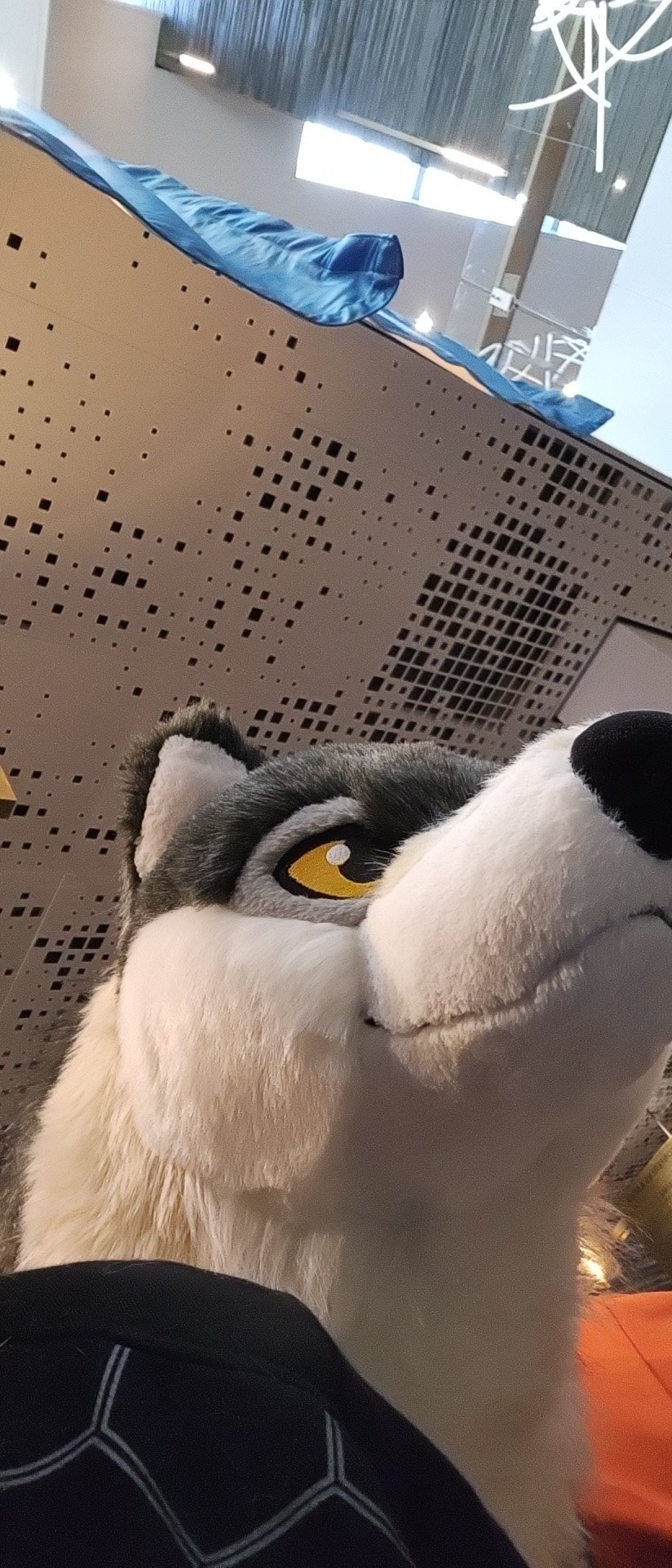 Alex 🇳🇴 on Twitter: "@PlushLife_eu @NordicFuzzCon Where u at :3 https://t.co/L8nN0nnUTl" / Twitter