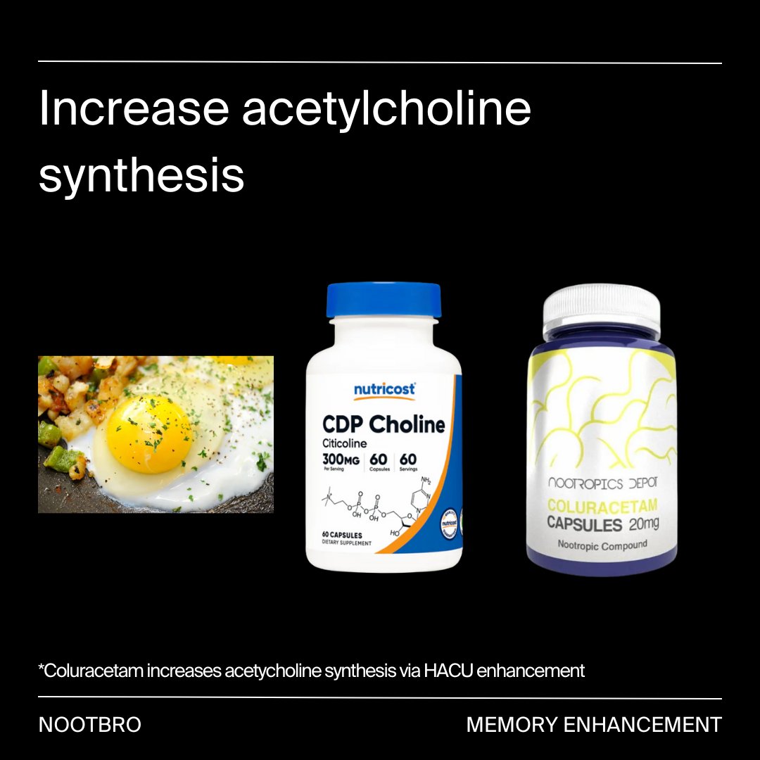 How to Enhance Memory THREAD - Thread from NootBro @nootropicguy - Rattibha