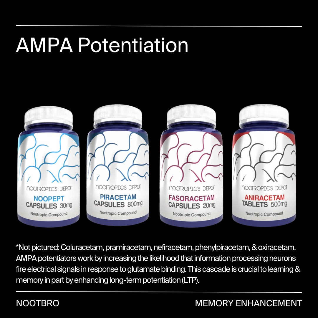 How to Enhance Memory THREAD - Thread from NootBro @nootropicguy - Rattibha