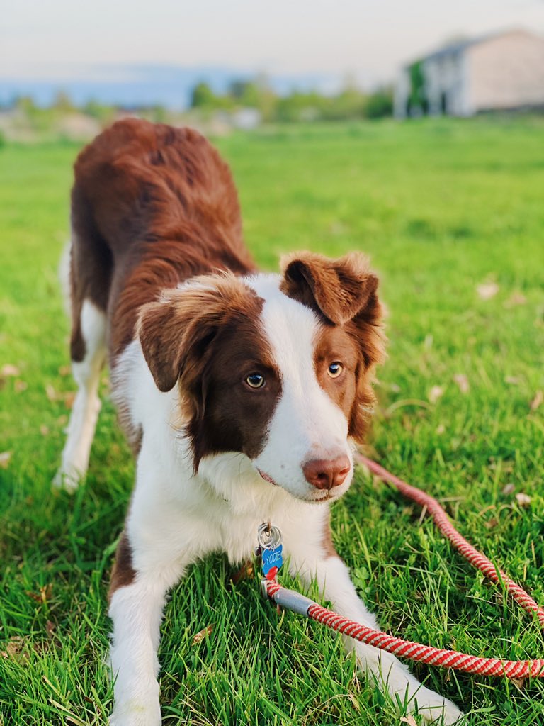 TheNicoleT on Twitter: "@Silent_Mist18 https://t.co/9LnCYcz7bi" / Twitter