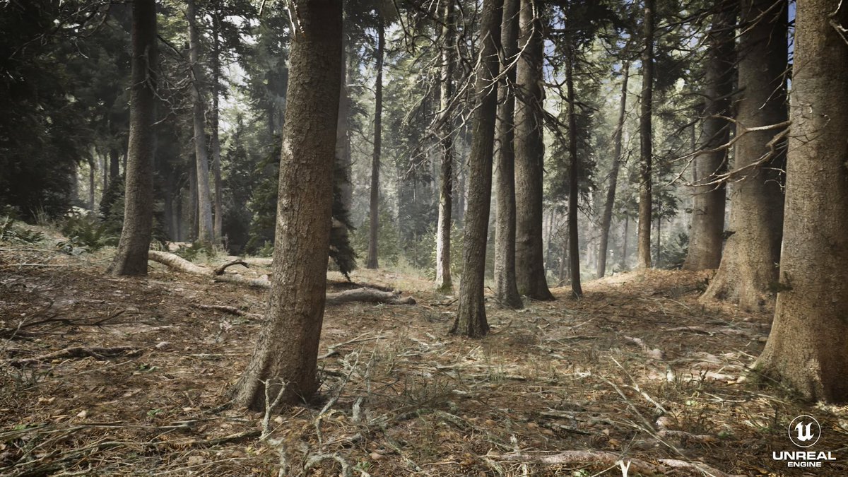 Wip Relighting @MAWIUnited Conifer procedural trees using HDR ...