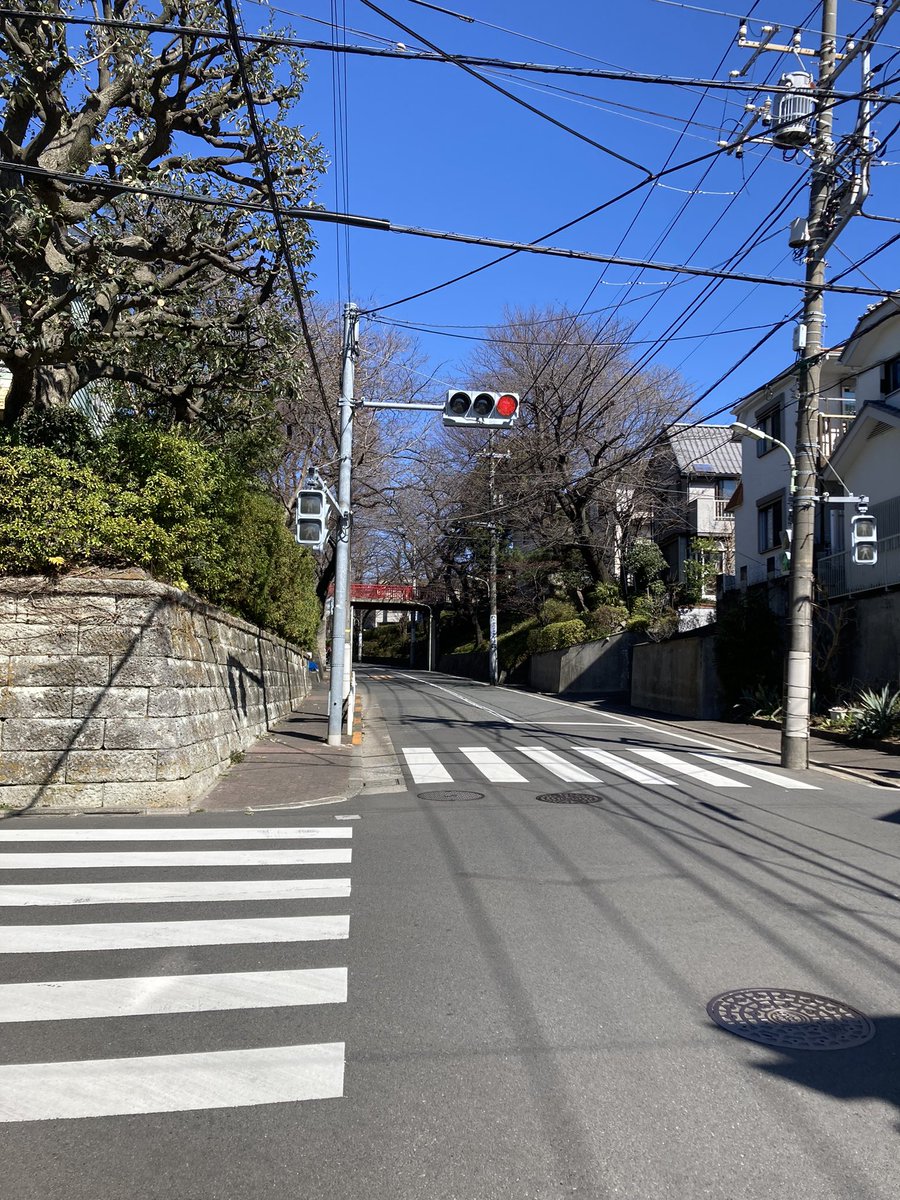 金子遥洵 Yojun Kaneko(@yojunkaneko) - Twilog (ツイログ)