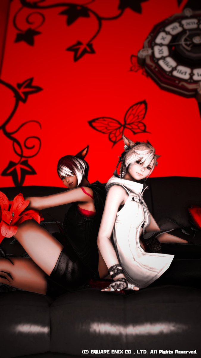 siesta_studio【FC】 | StudioXIV