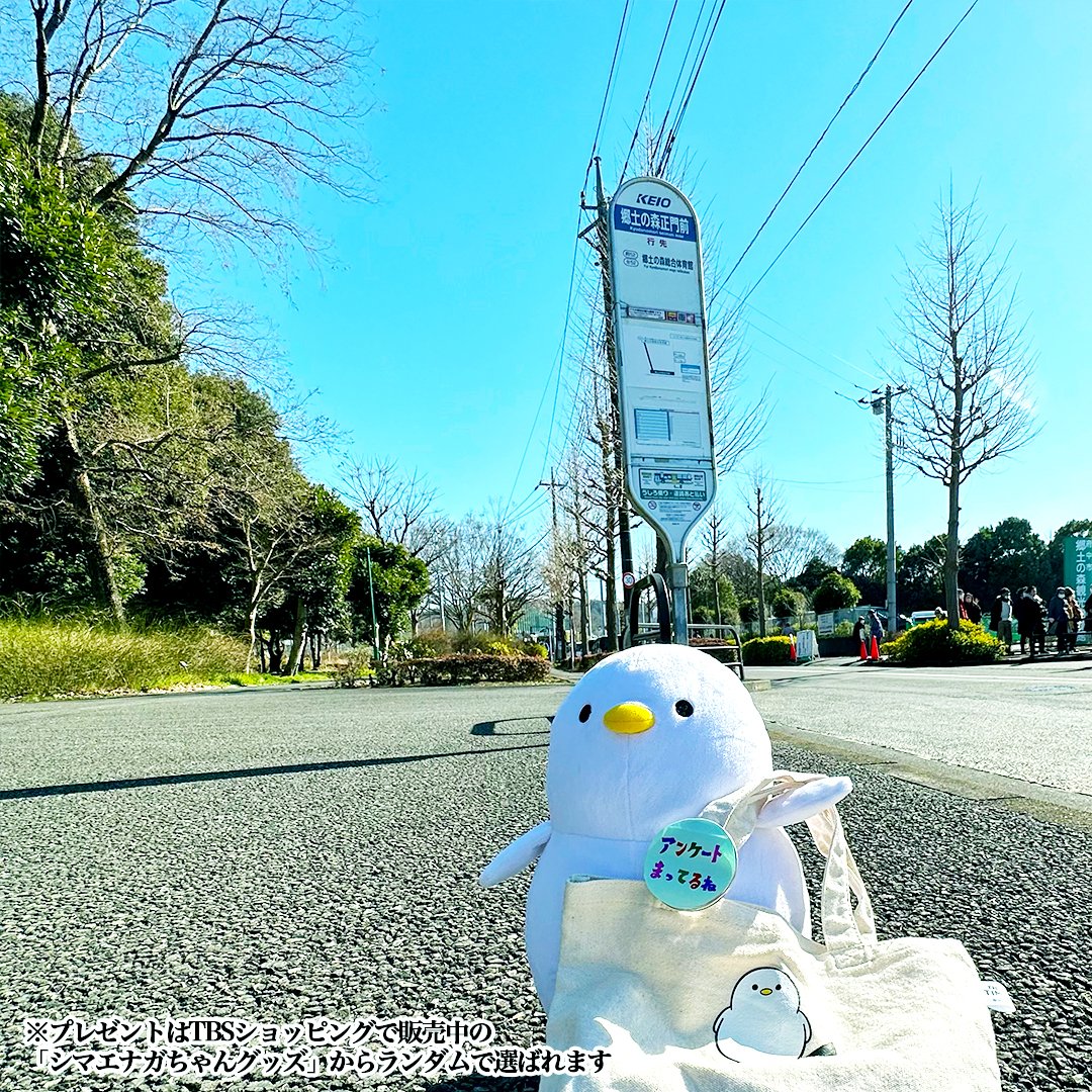 TBS『THE TIME, 』 on Twitter: "🐣🐣🐣 ／ 🐥アンケートよろしくね😉 \ ⏳前日よる7時〜9時限定⏳ 番組公式LINEで アンケートに答えると 🐥シマエナガちゃん ...