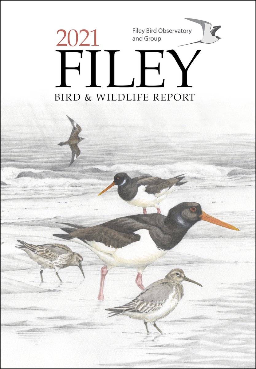 Sightings – Filey Bird Observatory and Group