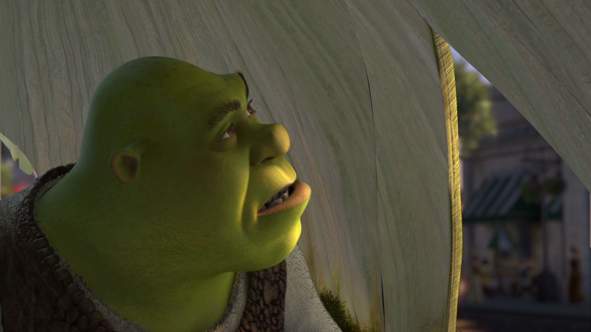 Shrek Angry Face