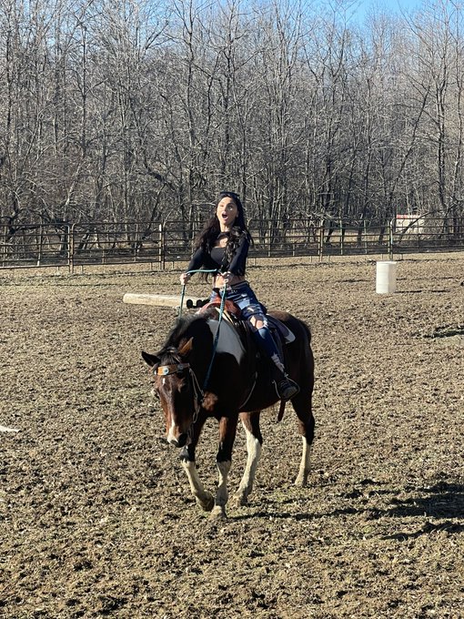 TW Pornstars - KAYBOOZ. Popular pictures and videos from Twitter for ...