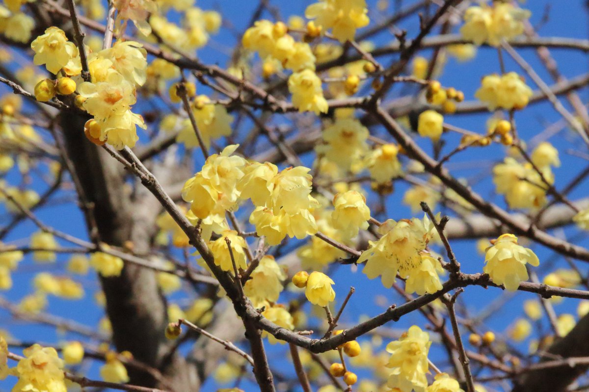 本庄敦(@atsu_hon) - Twilog (ツイログ)