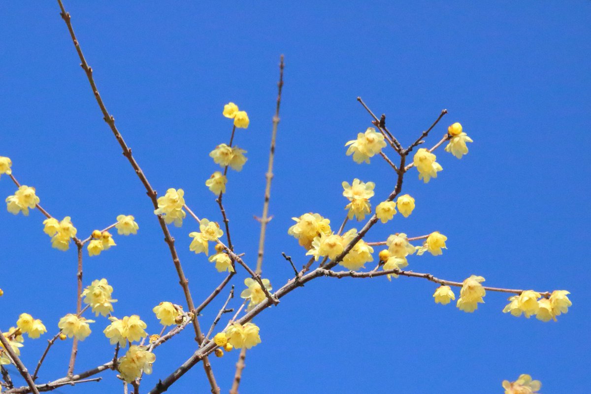 本庄敦(@atsu_hon) - Twilog (ツイログ)