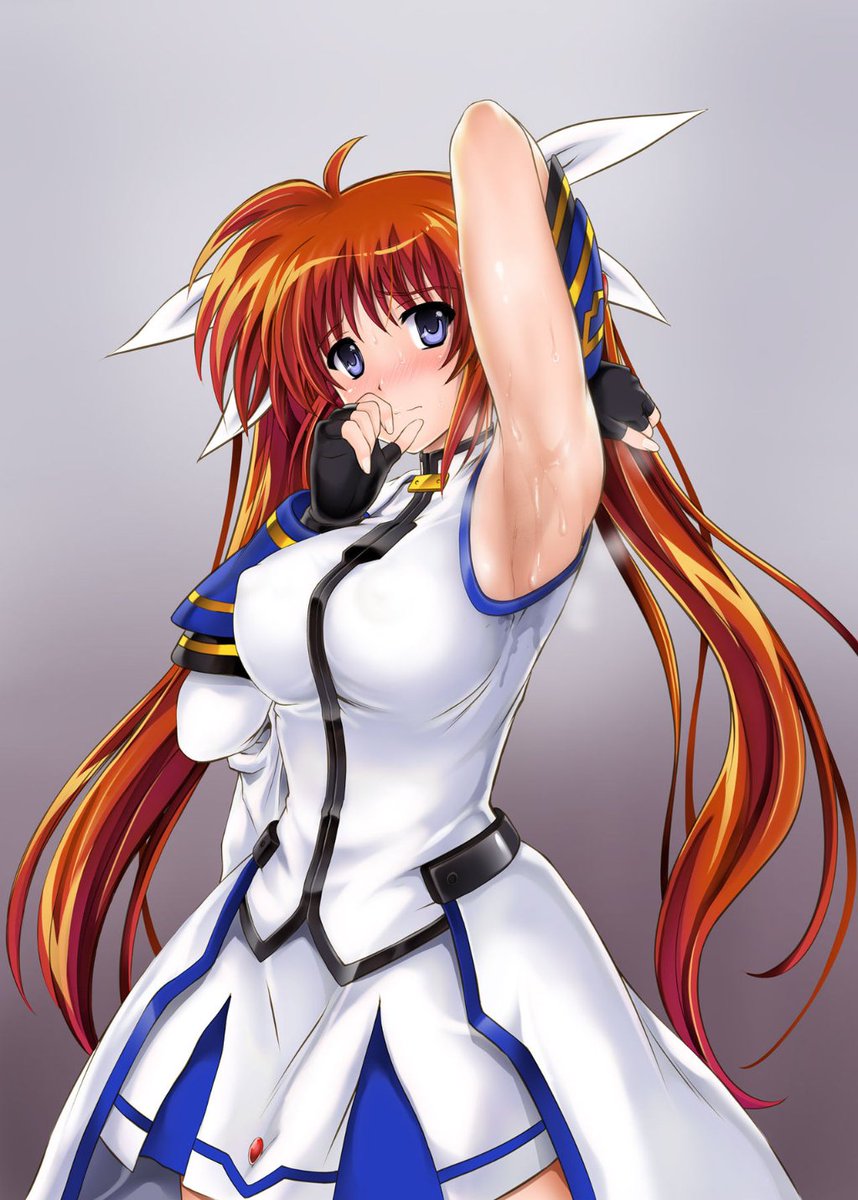 Hentai Dimension (Hopelessly in love with Nanoha) on Twitter: