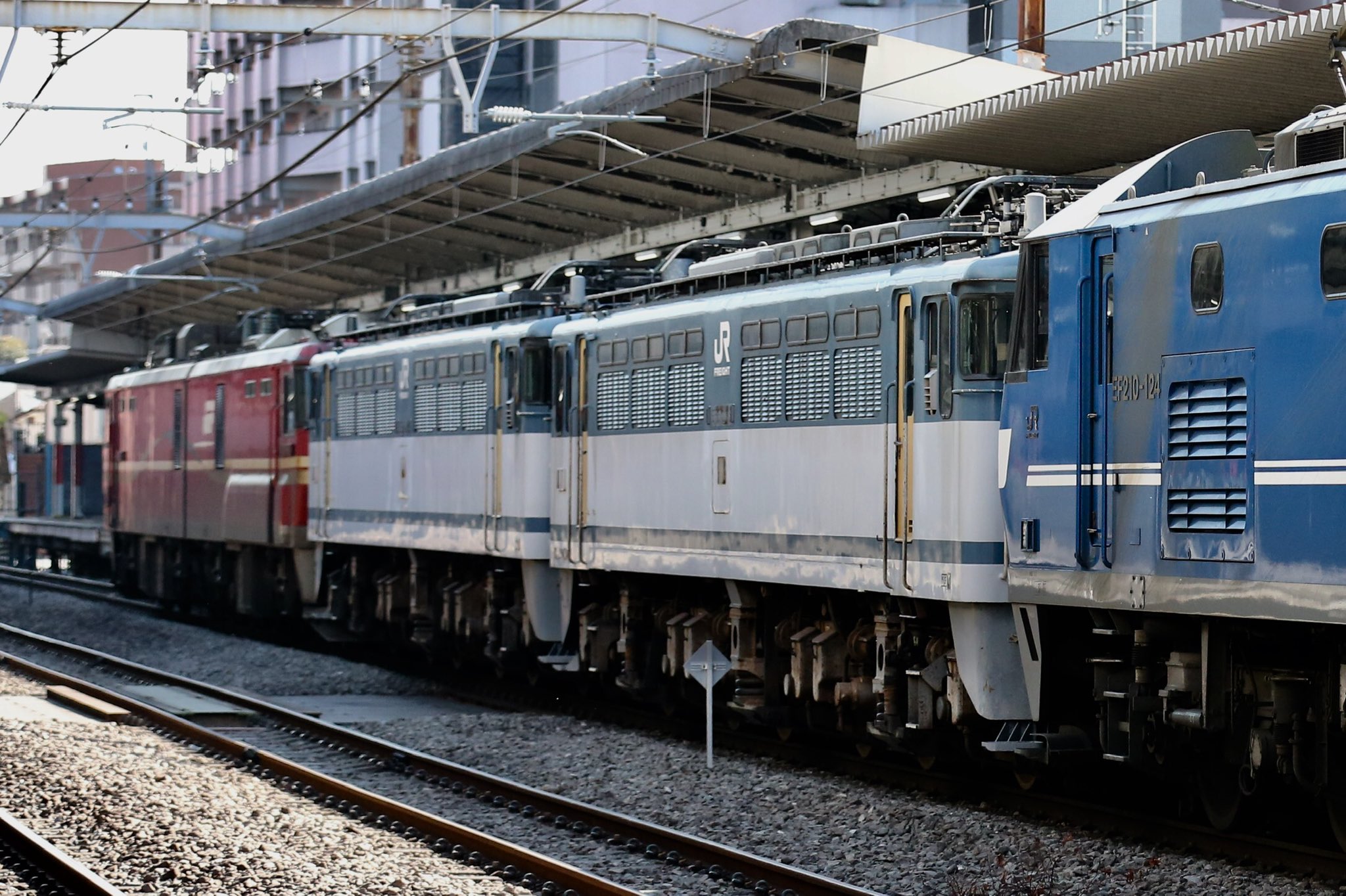 ねこひげ (@kishi8037) / Twitter