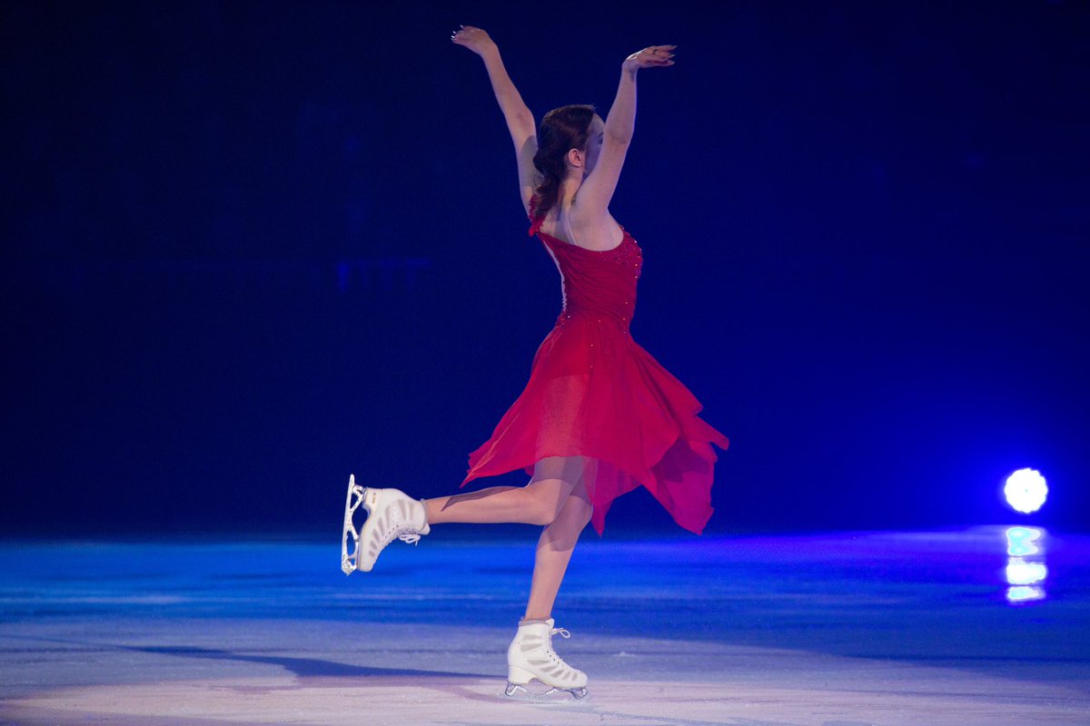 Team.Moonbear on Twitter: