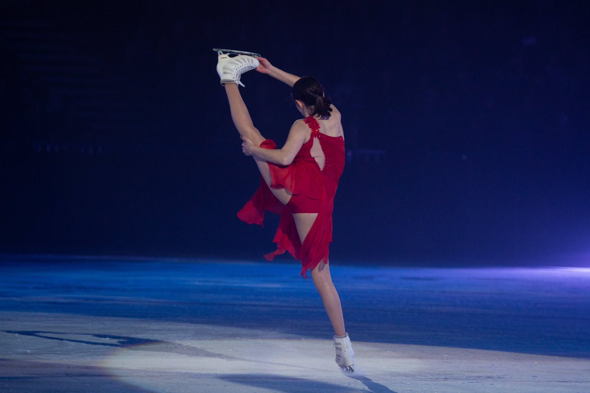 Team.Moonbear on Twitter: