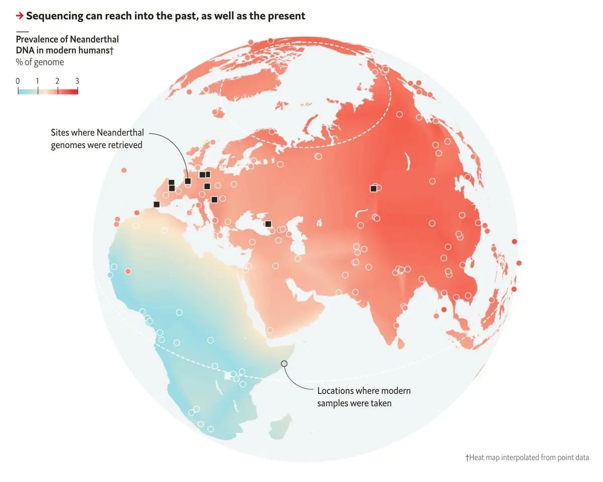 Neanderthal Dna Map