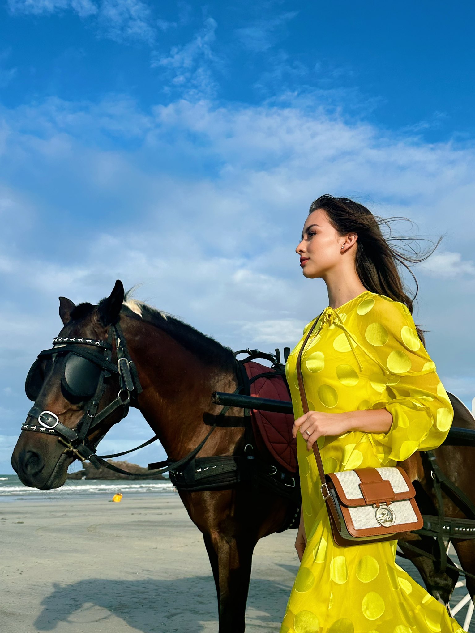 𝚊𝚗𝚗𝚊 on Twitter: "💛🐎 https://t.co/anVlocdHNM" / Twitter