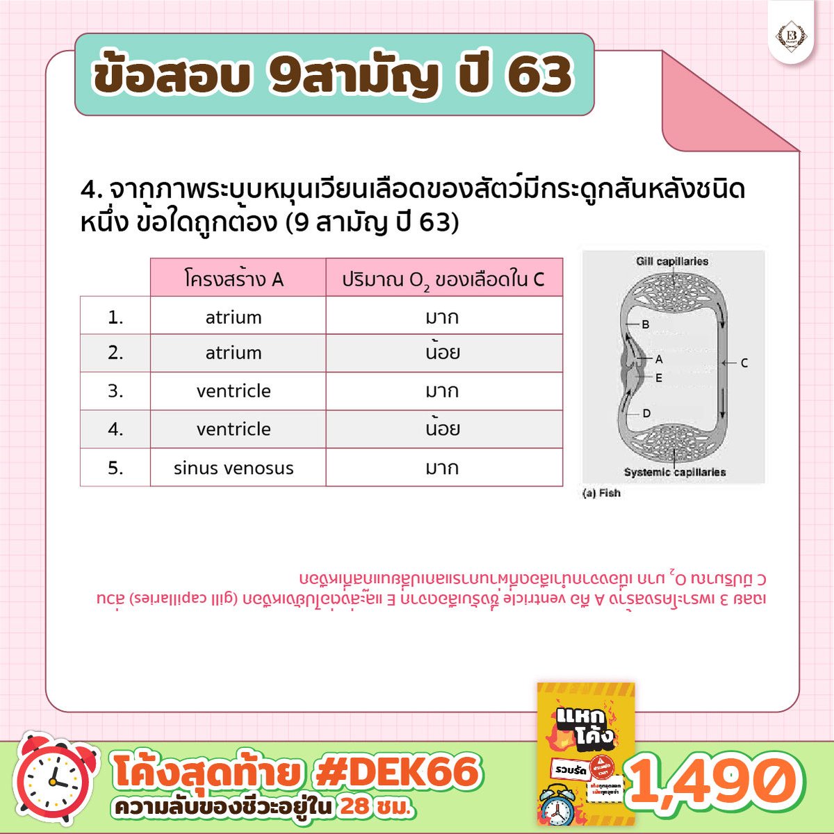 ชีวะครูฝ้าย🧠🌟 on Twitter: "มัดรวมข้อสอบหัวใจ #ALevel (#9สามัญ) 6 พ.ศ. (60 - 65) #dek66 #เด็กซิ่ว ...