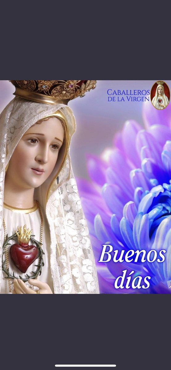 ingenieria sn on Twitter: "!!! M U Y B U E N O S D I A S