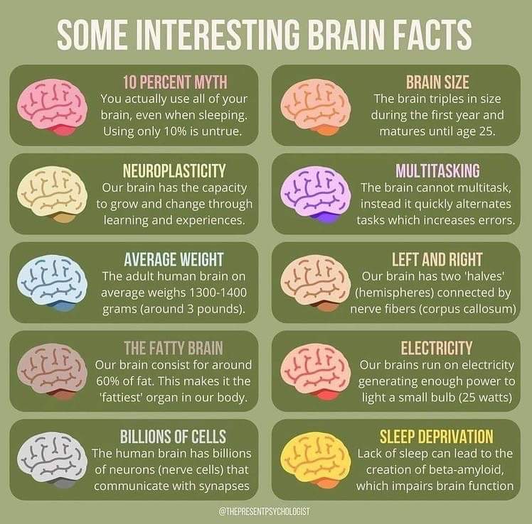 Something Interesting Facts