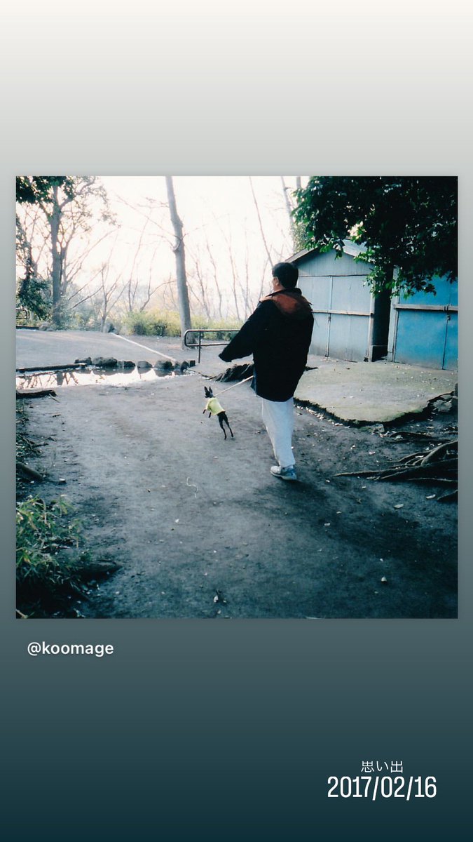 こげめがね on Twitter: "RT @iroiro_megane: https://instagram.com/p/BQkRi4ohXkB/?igshid=YmMyMTA2M2Y=…"