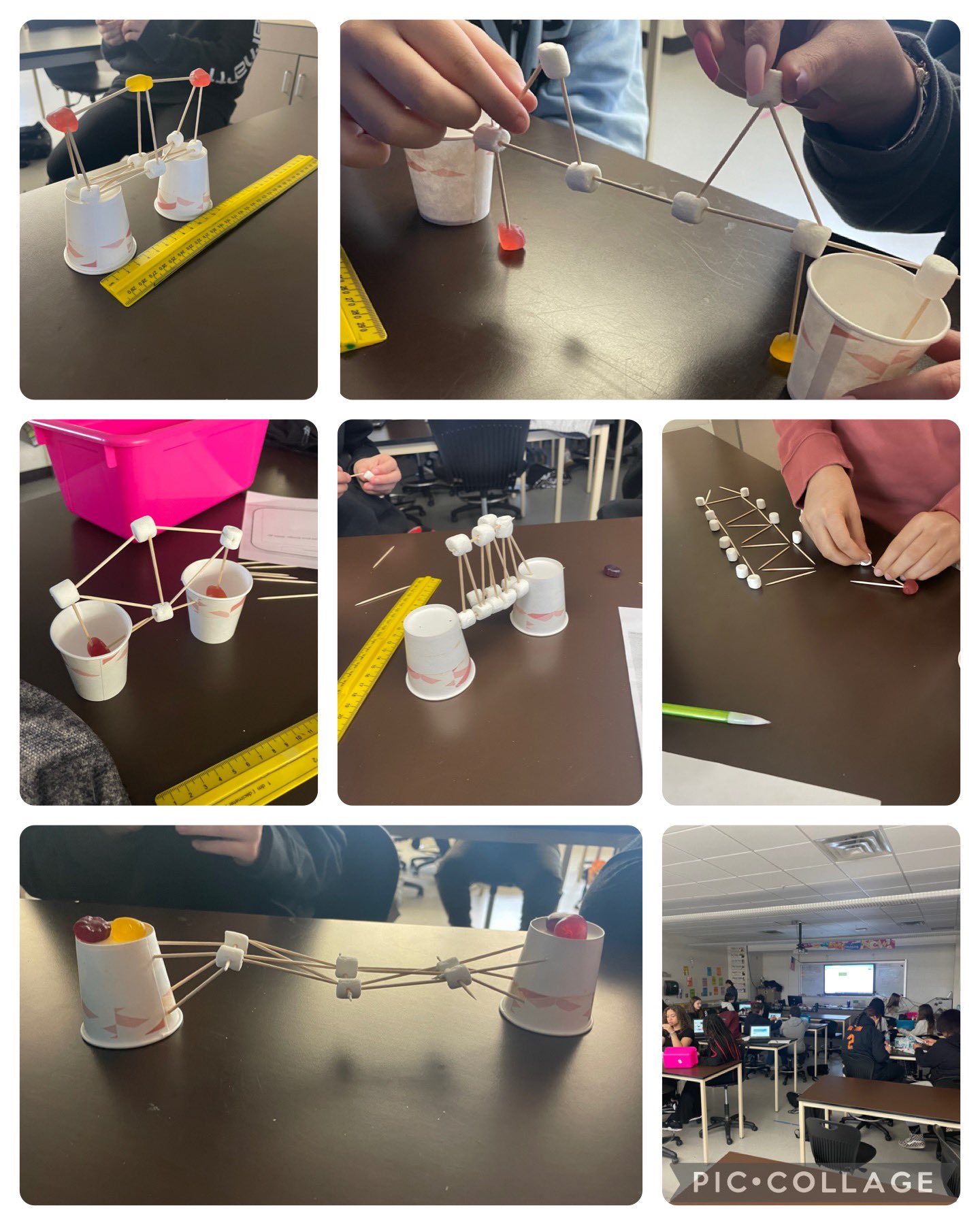 Dr. Brian Latwis on Twitter: "7th grade science classes at ROBMS ...