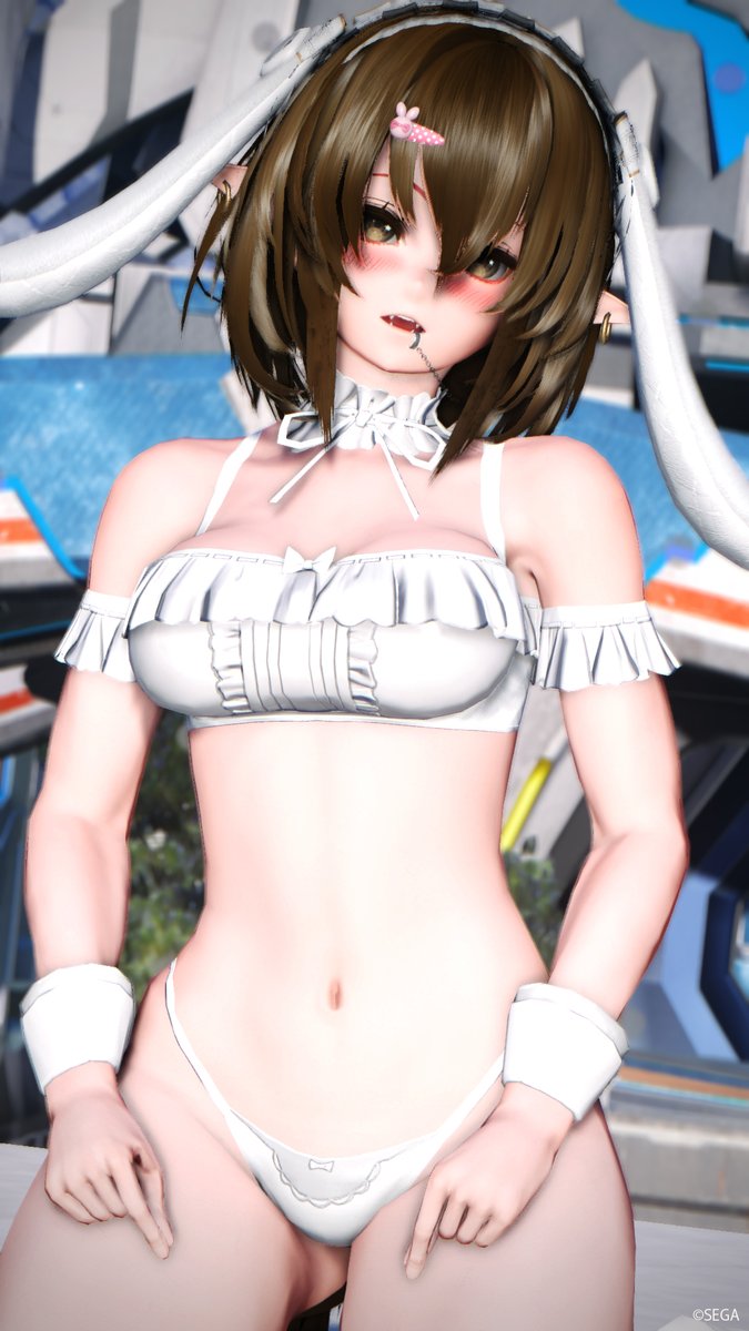 Shuna Marlucia on Twitter: "RT @pso2_elise: 今日も寝るのだった、つづく"