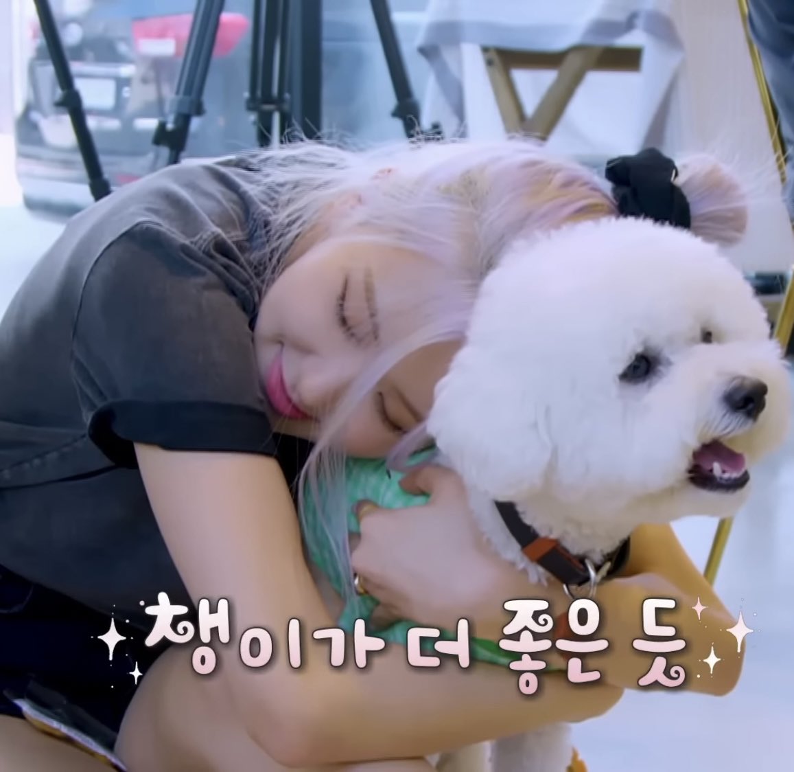두부 On Twitter 역시 서로 강아지라 말이 잘통하나봐