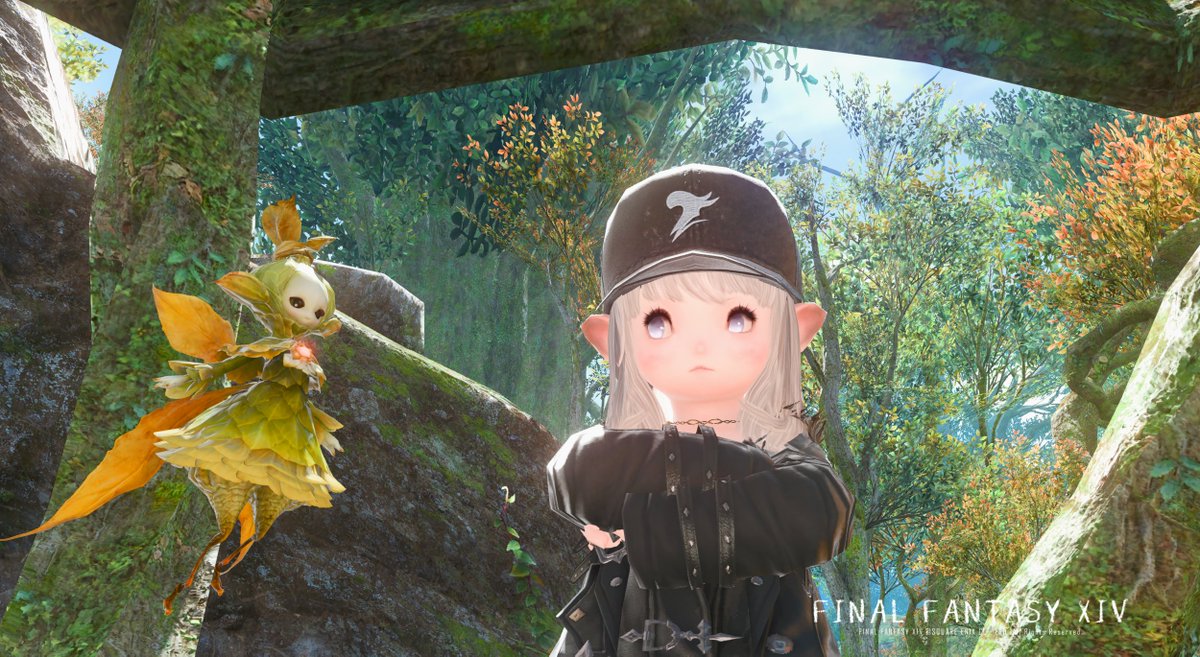 いであ@Hades on Twitter: "Fateのクエスト大変なんですけど… #FF14"