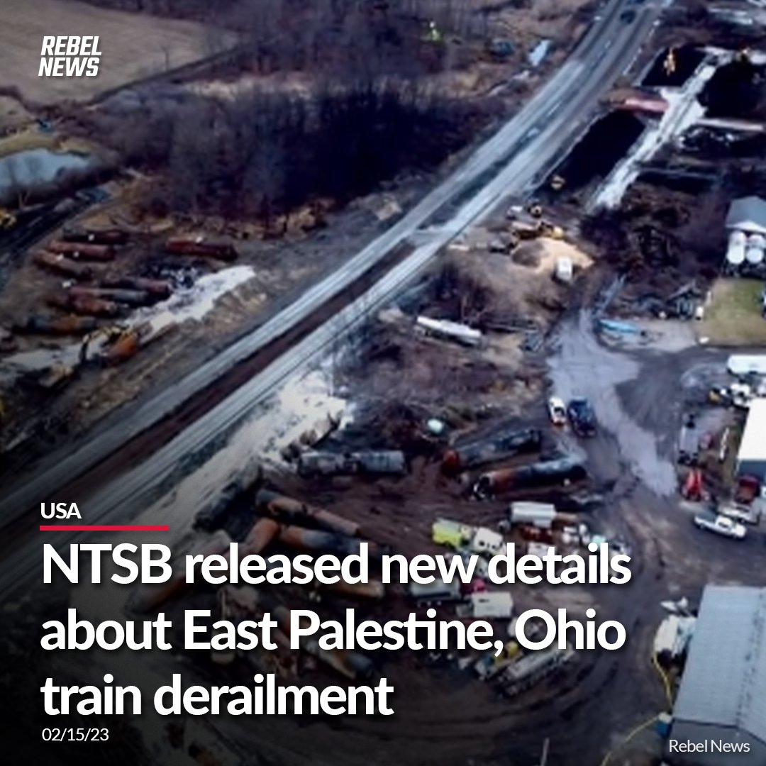 Rebel News on Twitter: Rebel News on Twitter: